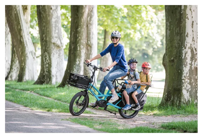 Tern GSD Clubhouse Kid and Cargo Support Frame